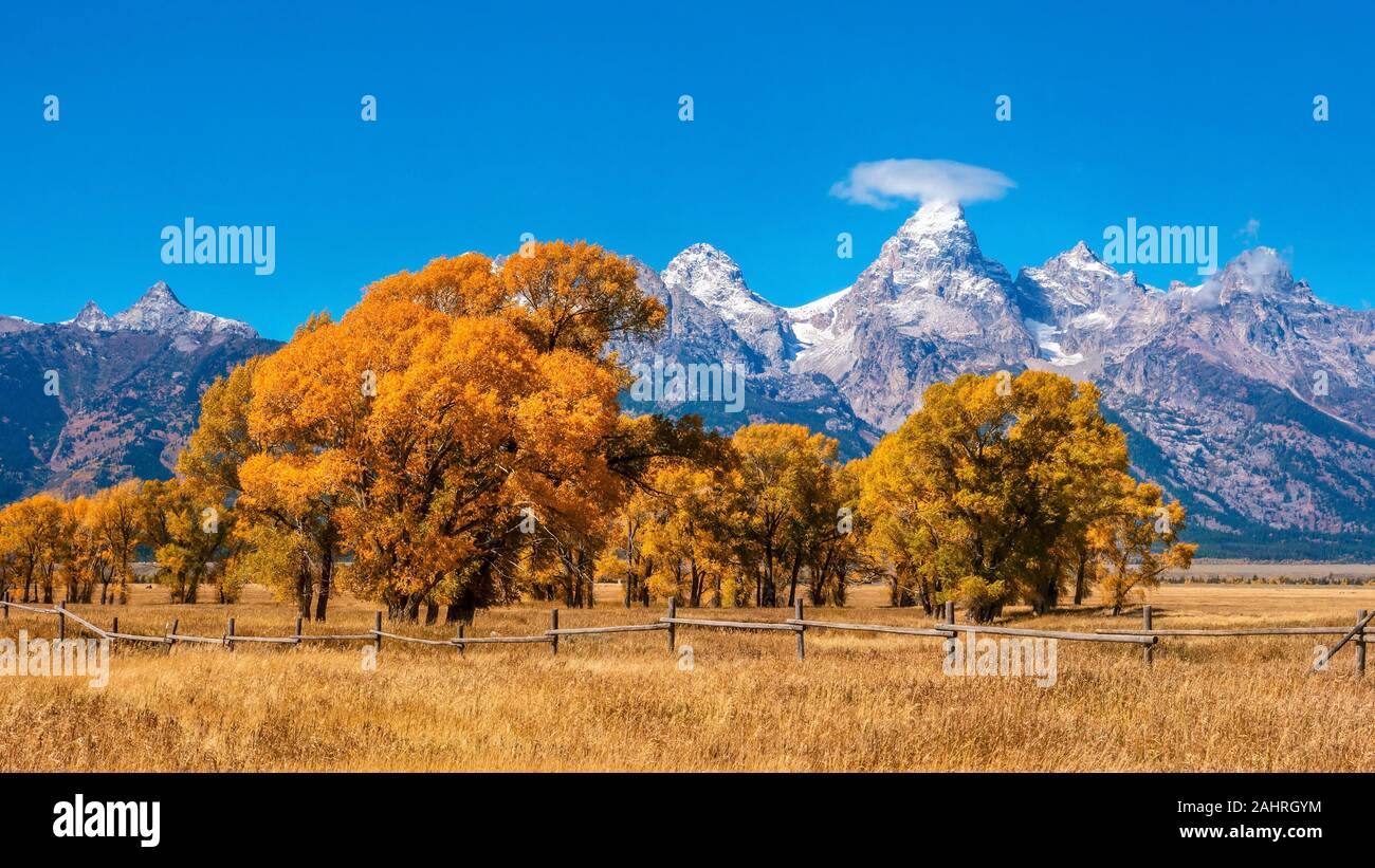Fencing hole hi-res stock photography and images - Alamy