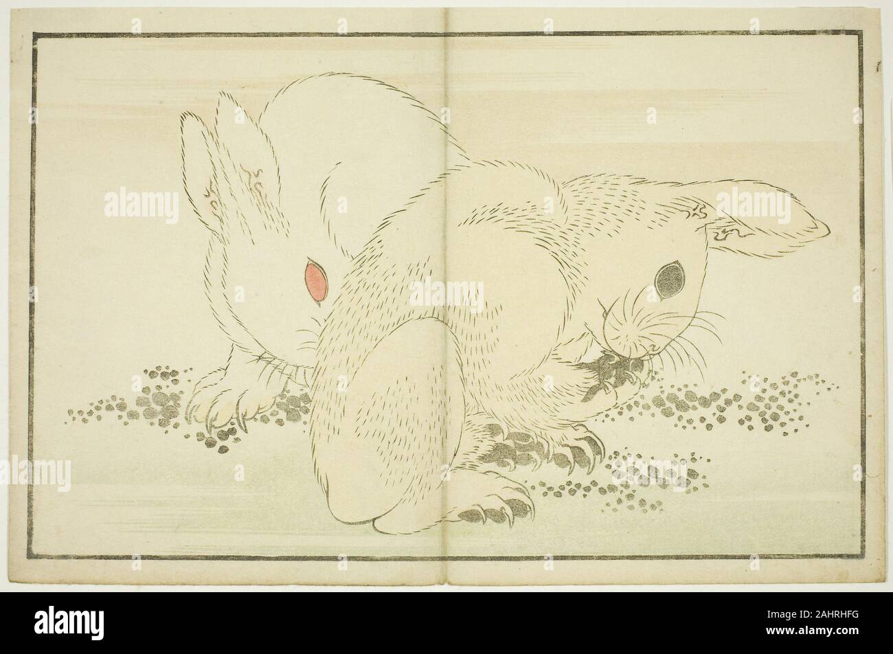 Katsushika Hokusai. Two Rabbits, from The Picture Book of Realistic ...