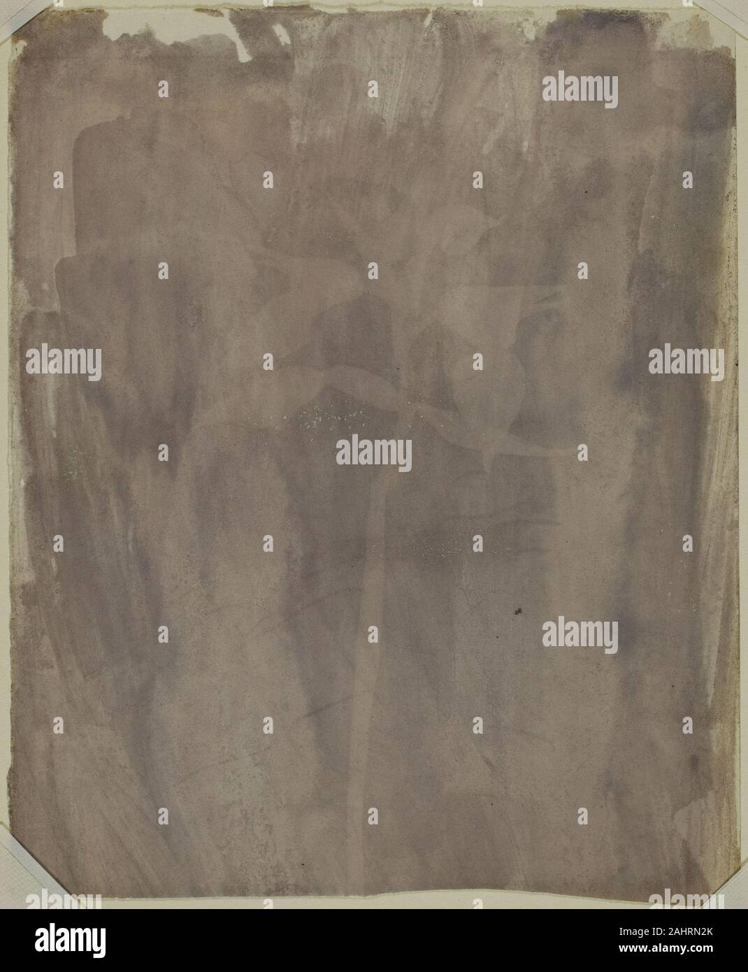 William Henry Fox Talbot. Botanical Specimen. 1830–1840. England ...