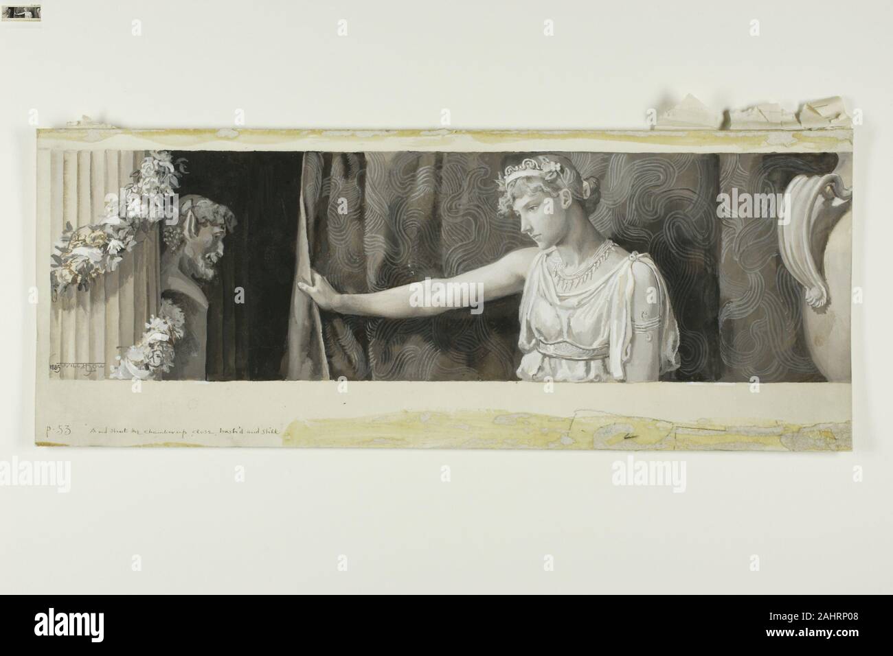 Pulp chamber hi-res stock photography and images - Alamy