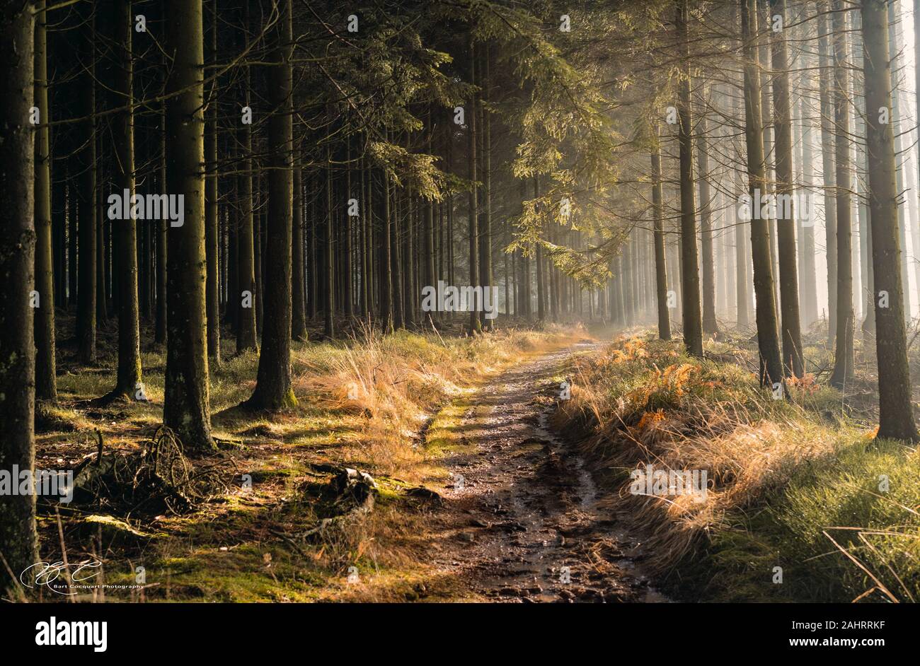 Fog muddy trail hi-res stock photography and images - Alamy
