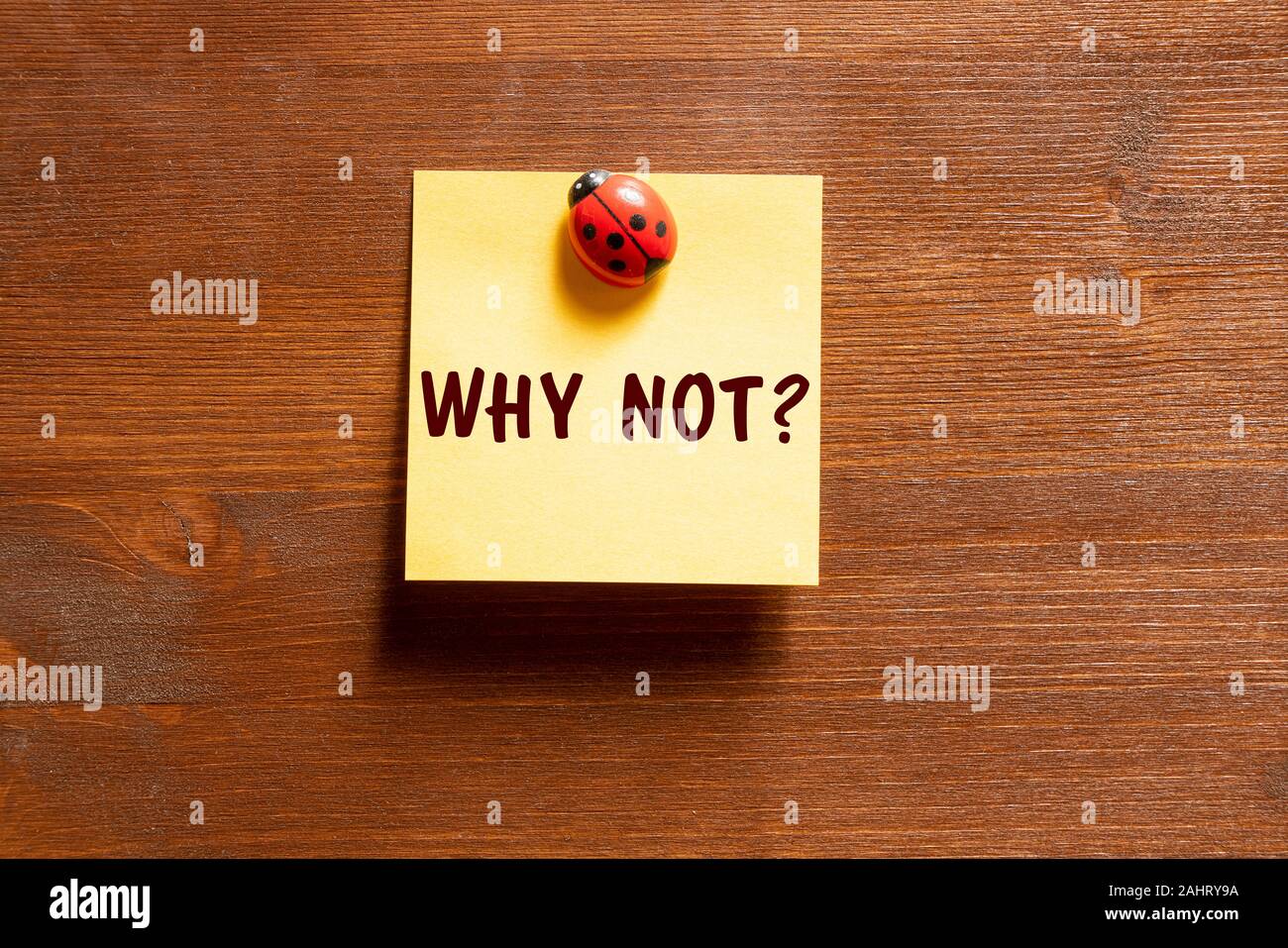 Why not photo hi-res stock photography and images - Alamy