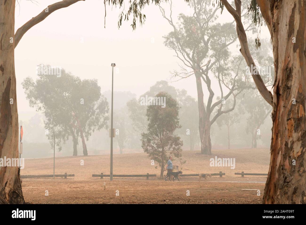 Canberra. 1st Jan, 2020. A pedestrian walks in a shroud of smoke near ...