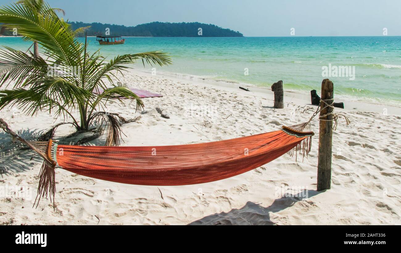 4k palm tree on beach hi-res stock photography and images - Alamy