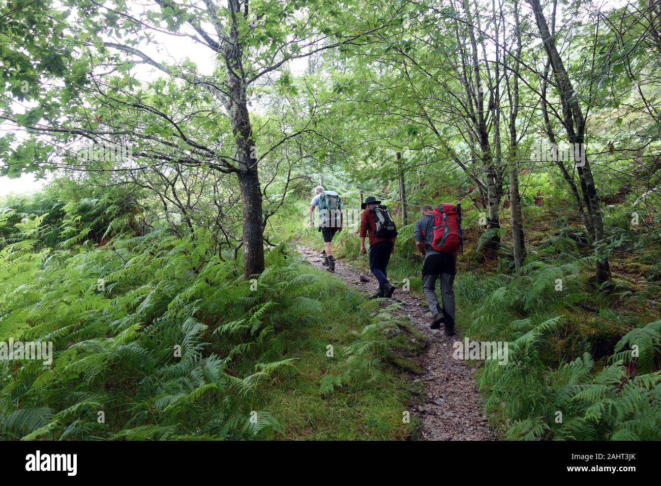 Choire hi-res stock photography and images - Alamy