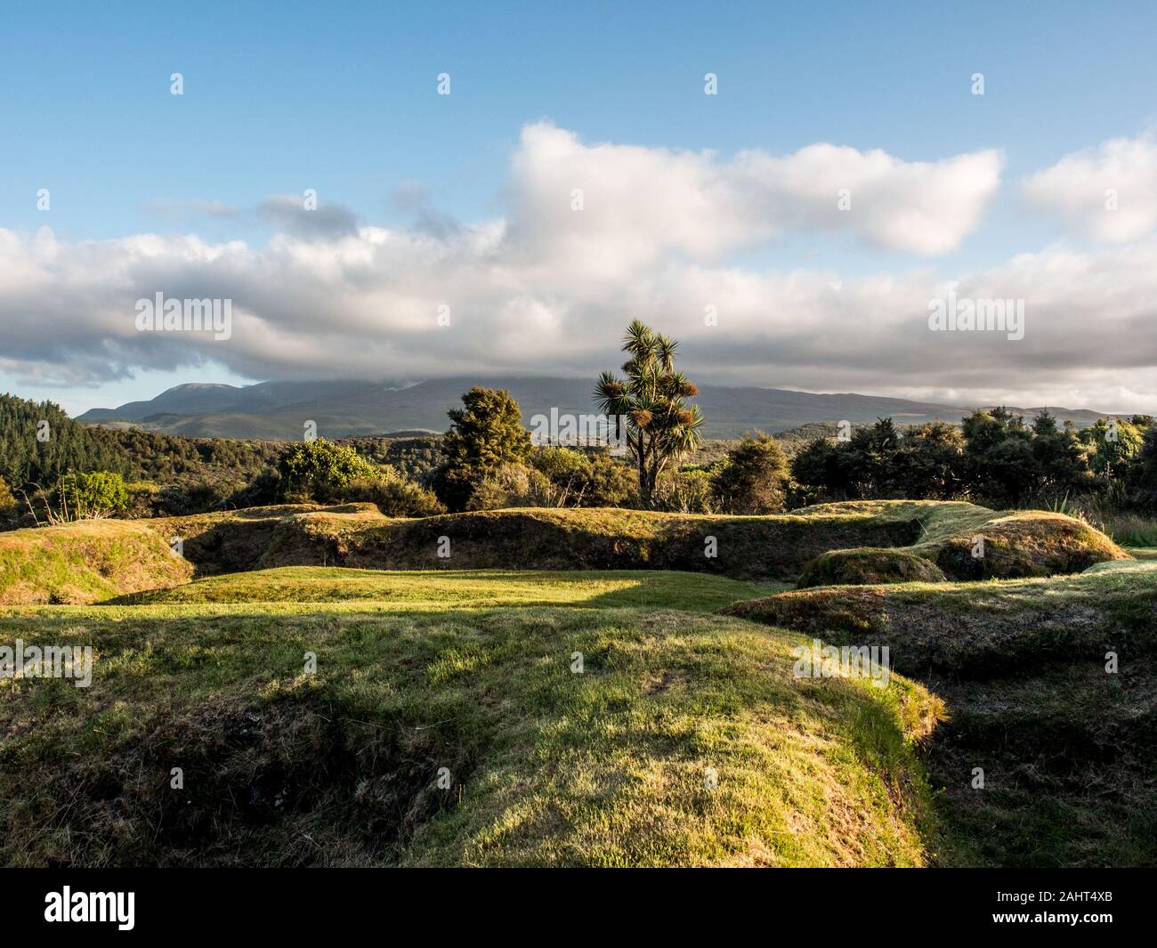 Te Porere, the earthworks of the upper redoubt, summer landscape ...