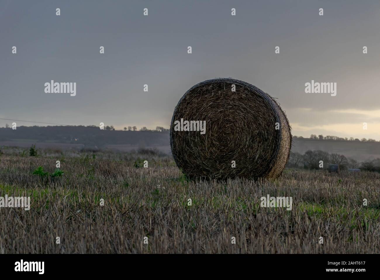 Agricultural field during harvesting hi-res stock photography and ...