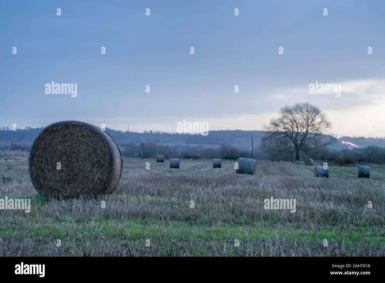 Single haymow and tree during blue hour Stock Photo - Alamy