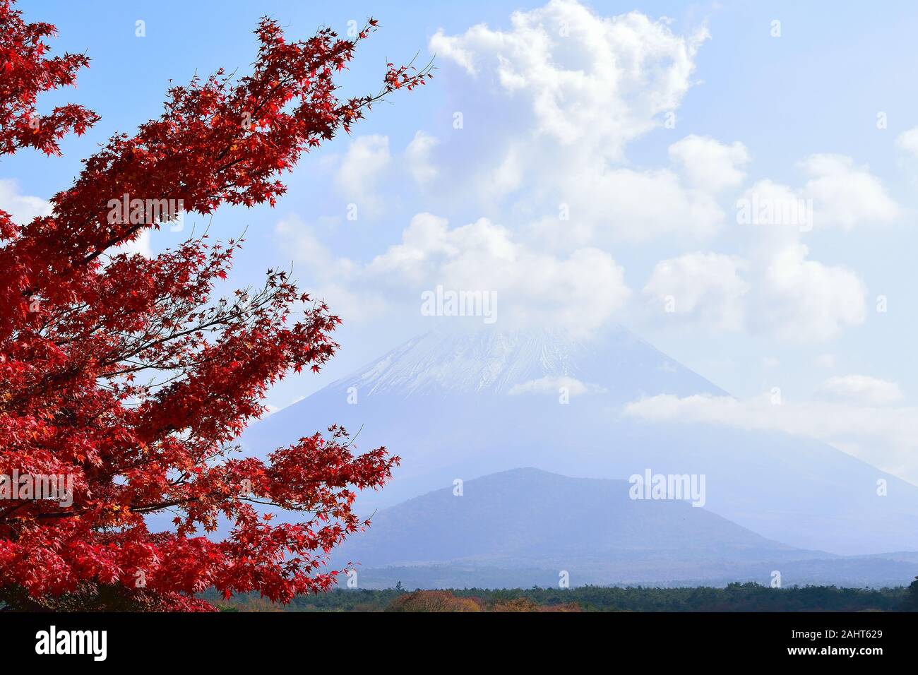 Landscape of colorful Autumn trees with Mount Fuji in background Stock ...