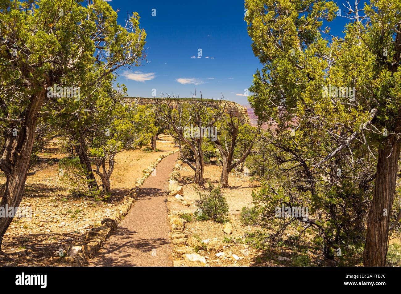 Path in the Grand Canyon, Arizona, USA Stock Photo - Alamy