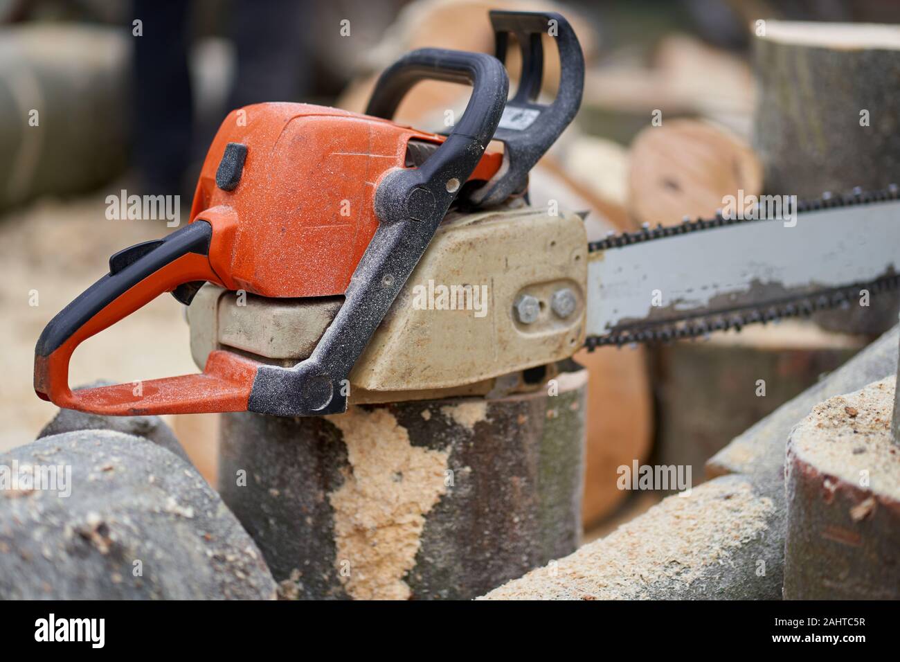 Lumberjack tools for bucking logs, chainsaw Stock Photo - Alamy