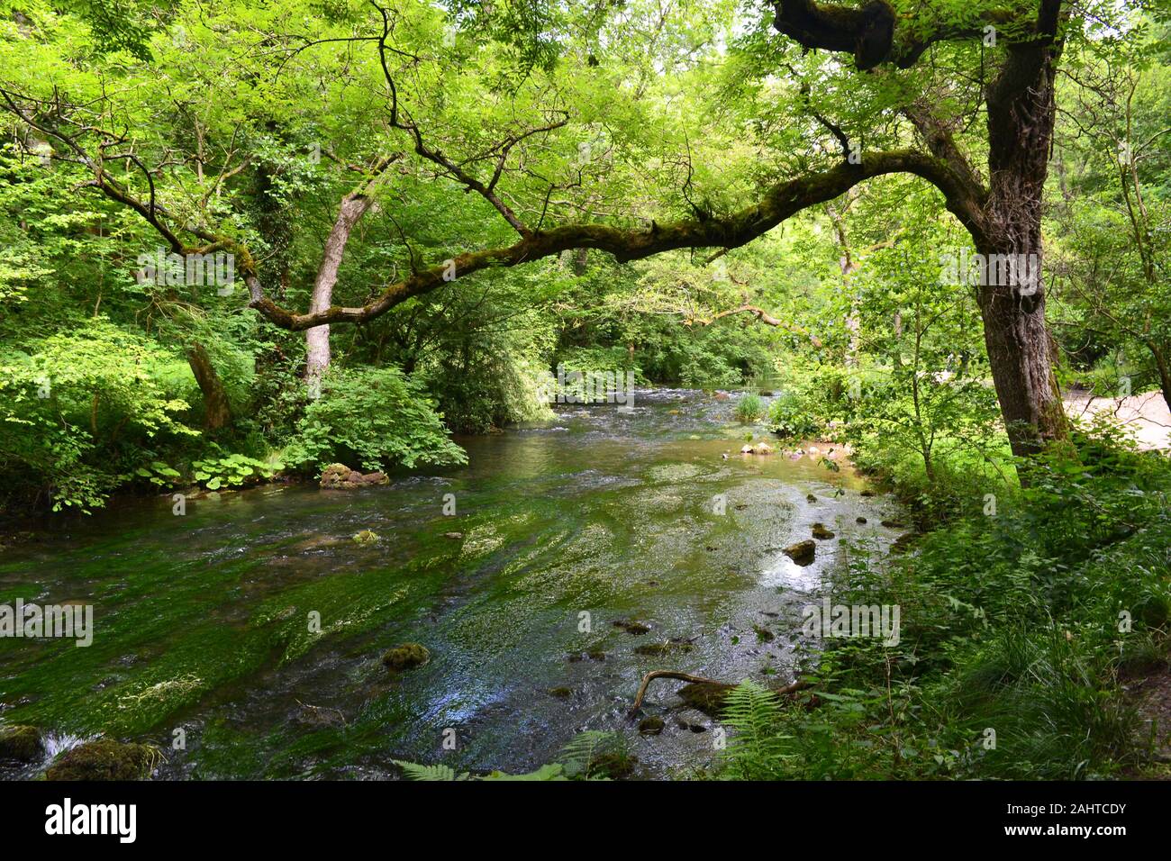 Dovedale peak district derbyshire hi-res stock photography and images ...