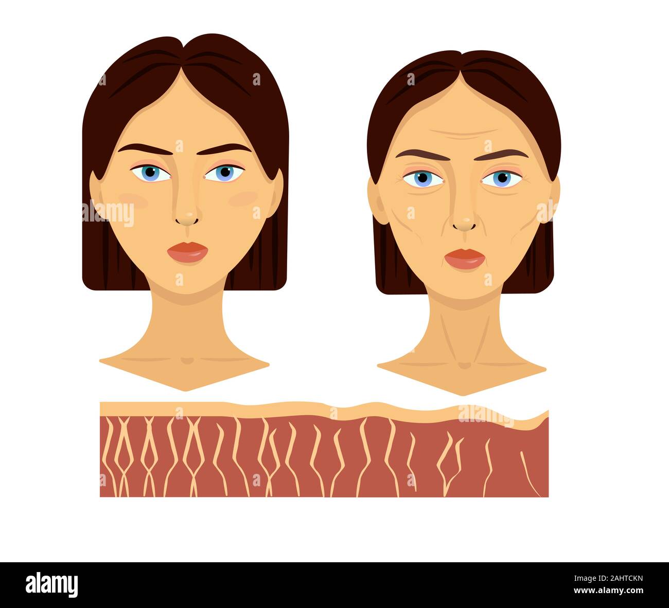 Old and young comparison Stock Vector Images - Alamy