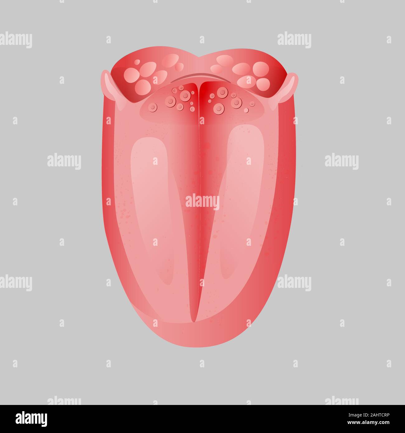 Human realistic tongue icon isolated on white background vector graphic ...