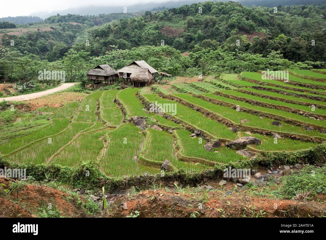 Mai chau field hi-res stock photography and images - Alamy