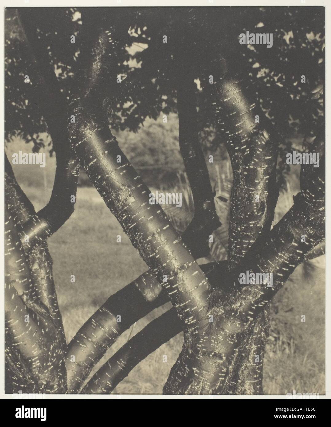 Pictorialism High Resolution Stock Photography and Images - Alamy
