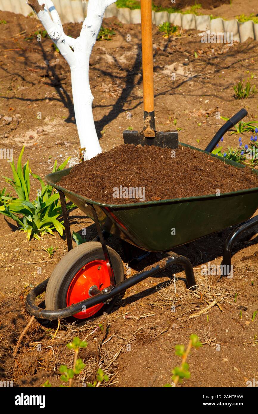 Wheelbarrow full of soil in a garden Stock Photo - Alamy