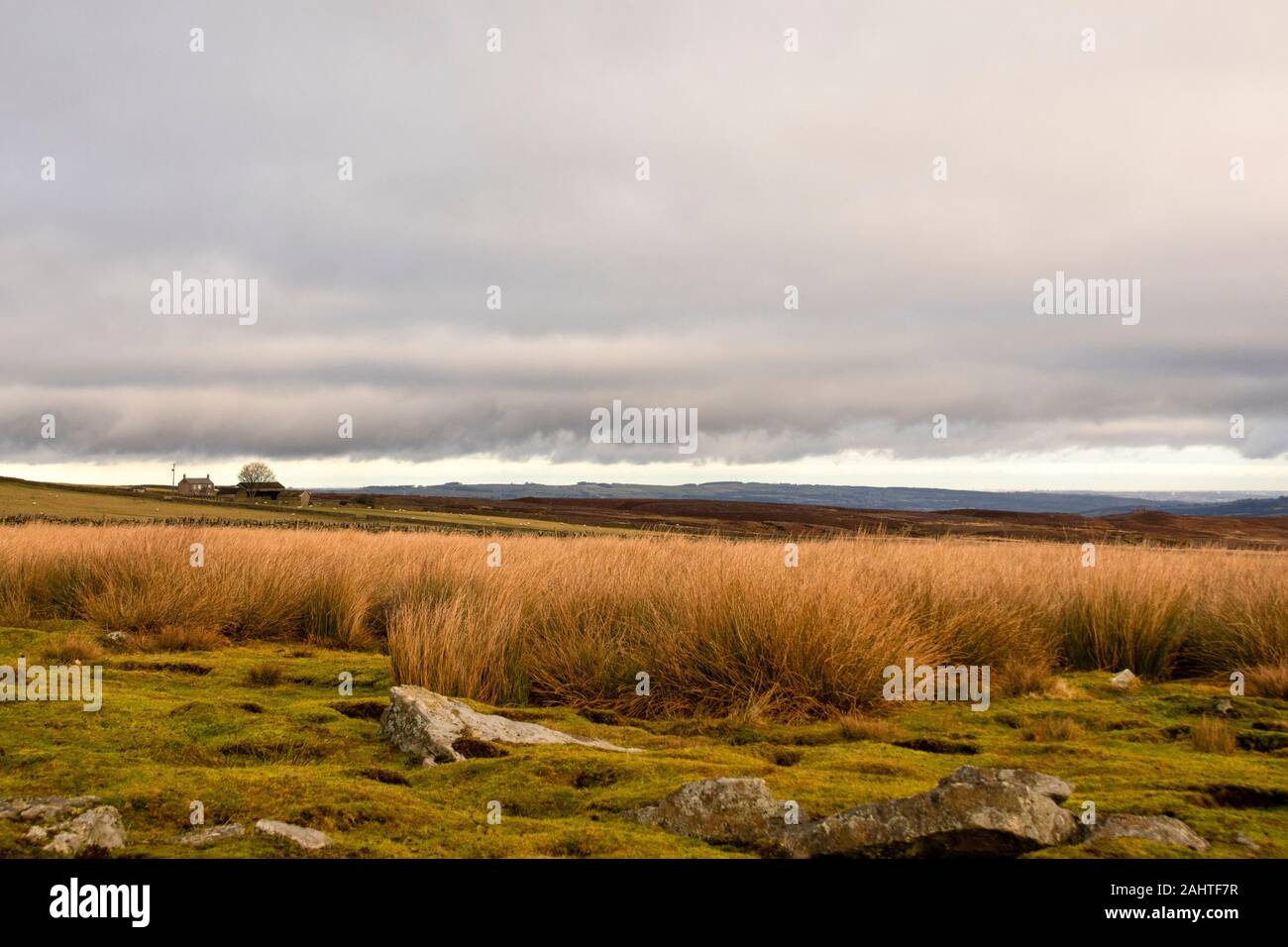 Muggleswick common hi-res stock photography and images - Alamy