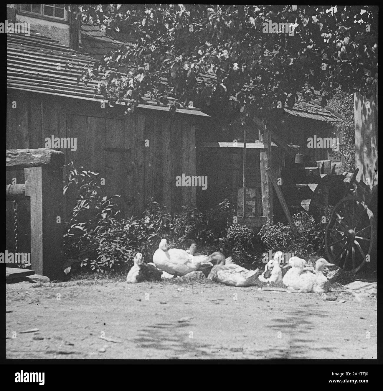 Alfred Stieglitz. Gutach. 1894. United States. Lantern slide Stock ...