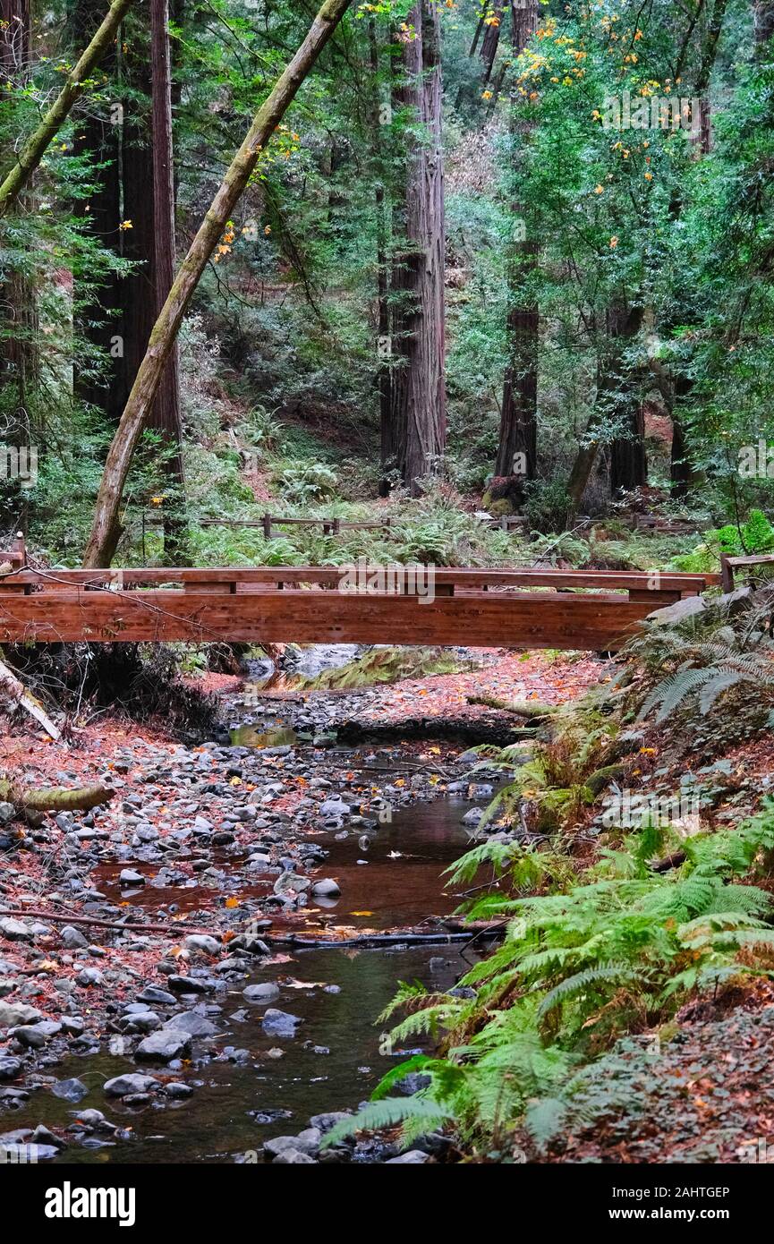 Bridge Over Stream Stock Photo - Alamy