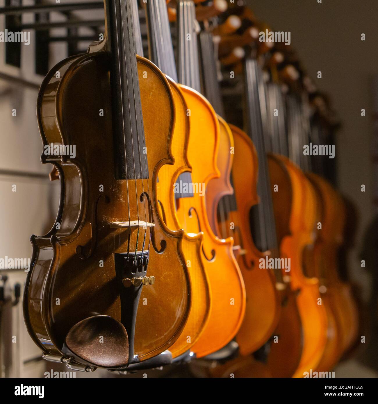 Violins hanging on display in a music shop Stock Photo - Alamy