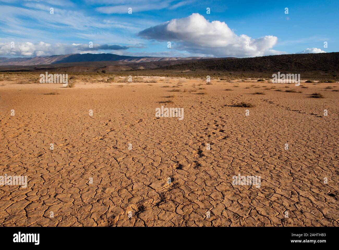 Salt pan, Sanbona Wildlife Reserve, South Africa Stock Photo - Alamy
