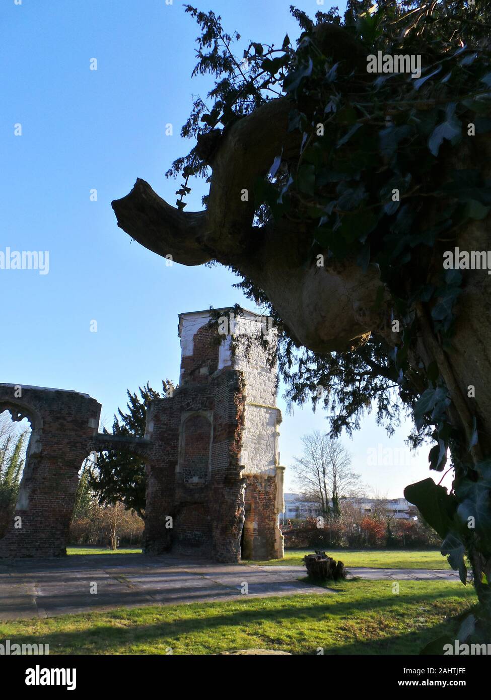 The ruins of the abbey at Holy Ghost cemetery in Basingstoke Stock ...