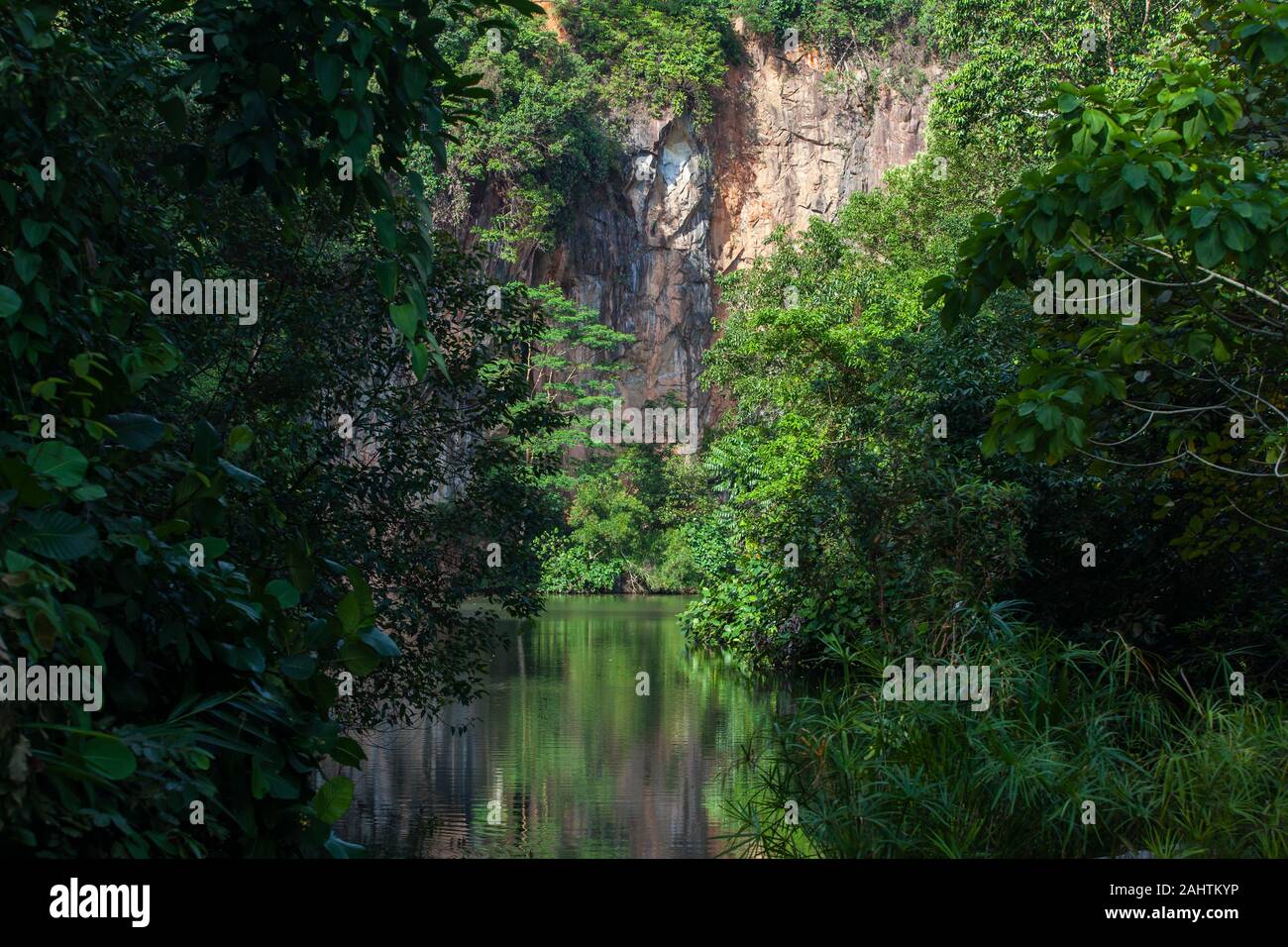 Bukit batok nature park tranquil quarry scenery, Singapore Stock Photo ...