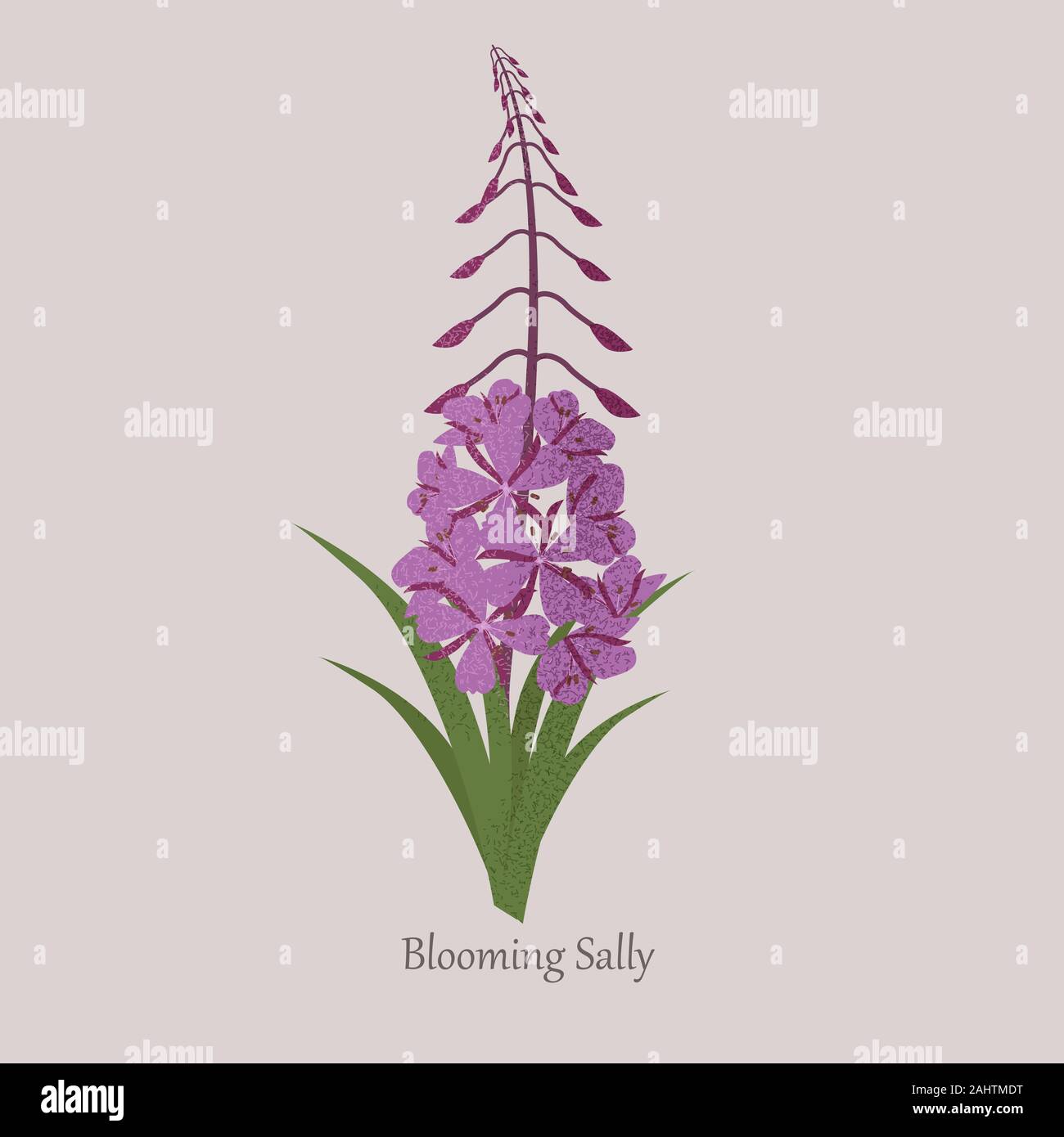 Sally bloom Stock Vector Images - Alamy