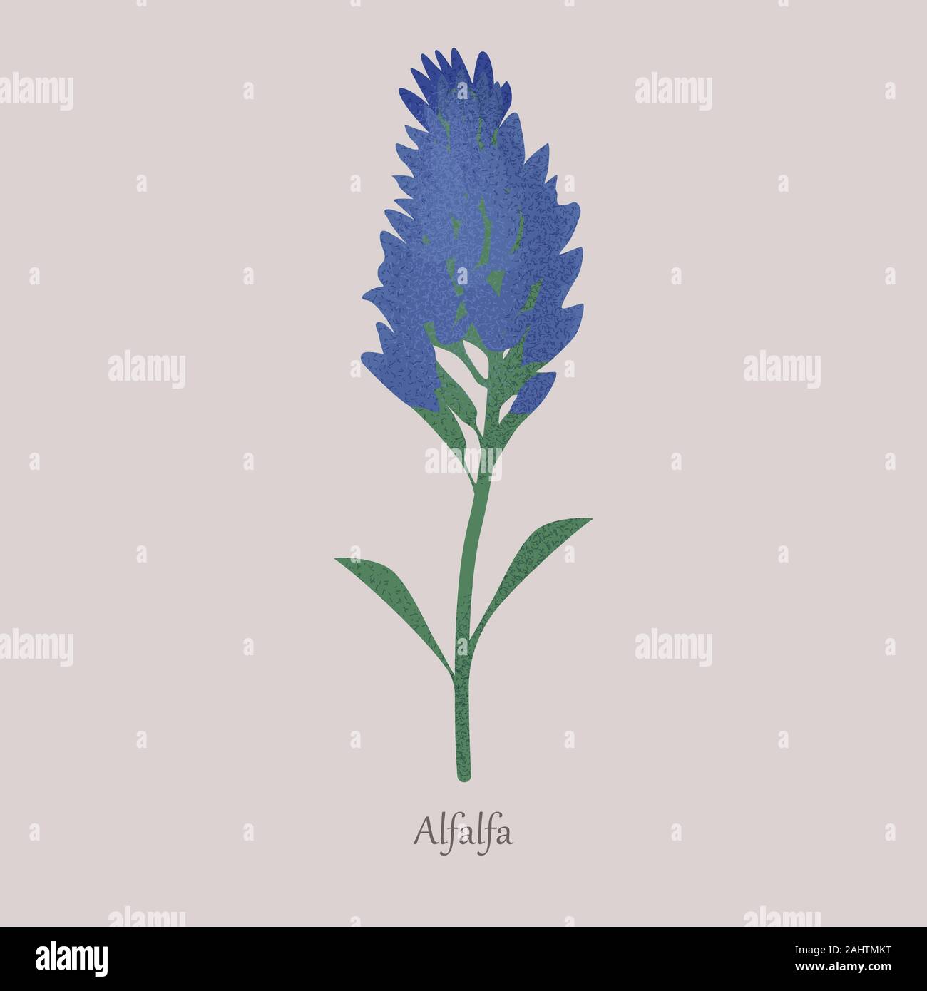 Medicago logo Stock Vector Images - Alamy