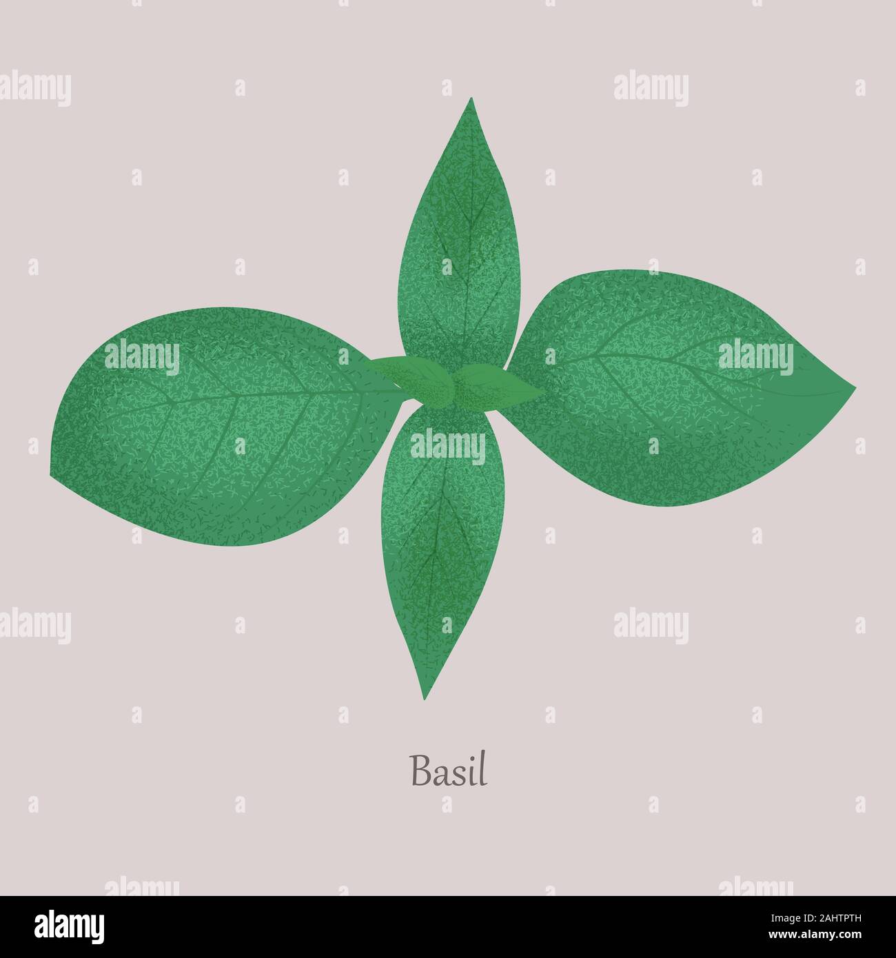 Basil logo hi-res stock photography and images - Alamy