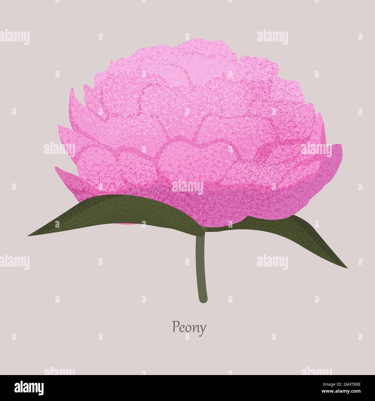 Flower stem pink bud Stock Vector Images - Alamy