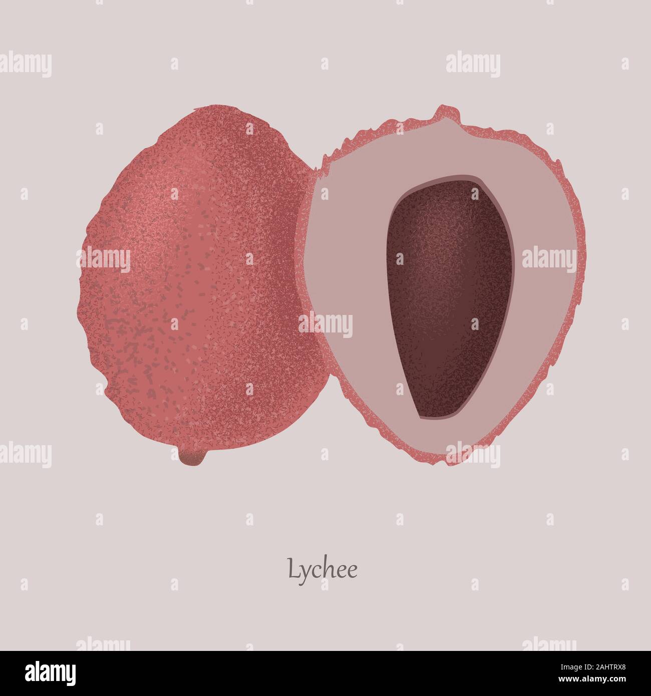 Tropical lychee fruit whole and cut in half Stock Vector Image & Art ...