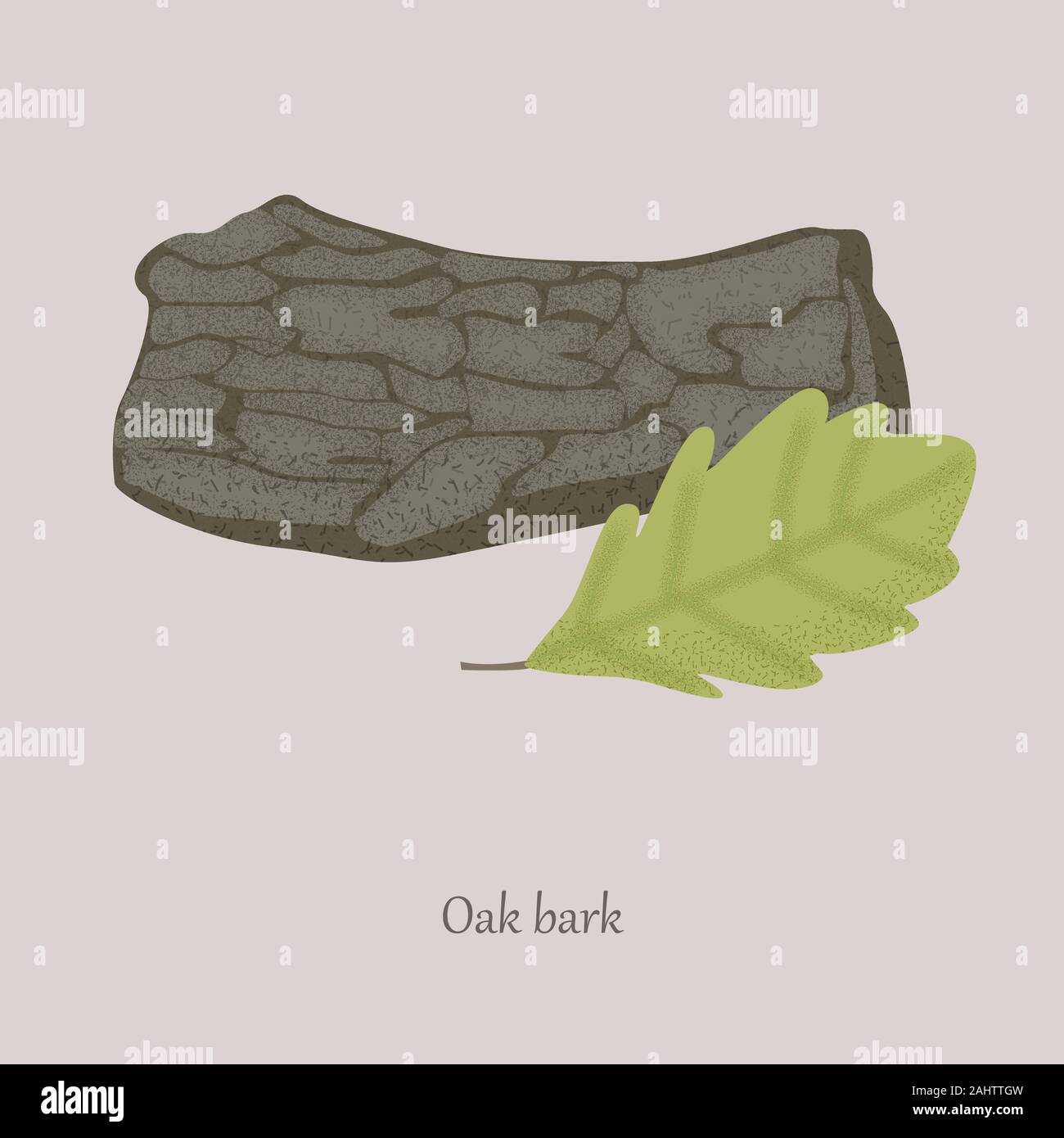Old oak bark texture Stock Vector Images - Alamy