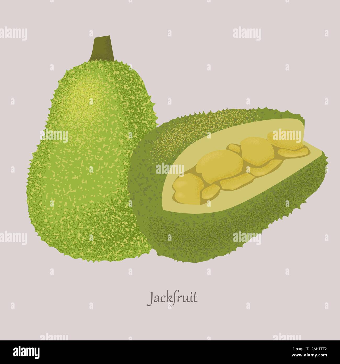 Whole jackfruit tropical fruit Stock Vector Images - Alamy