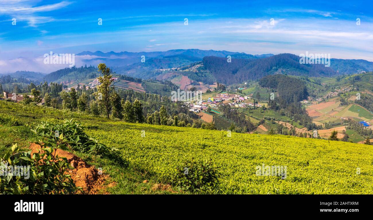 Nilgiri hills hi-res stock photography and images - Alamy
