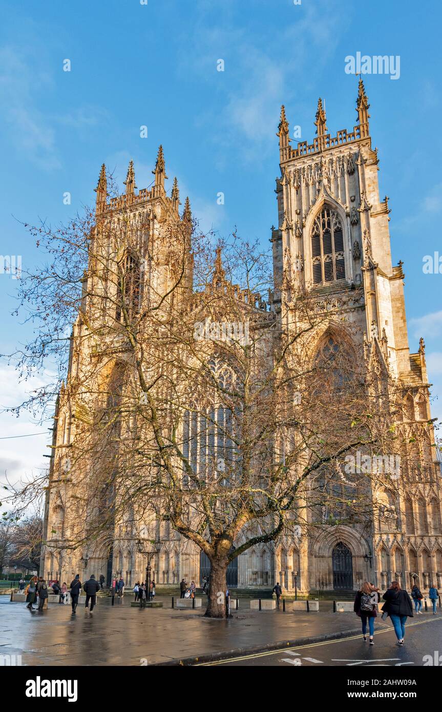 YORK ENGLAND THE MINSTER AND DECORATED TREE IN WINTER SUNSHINE Stock ...