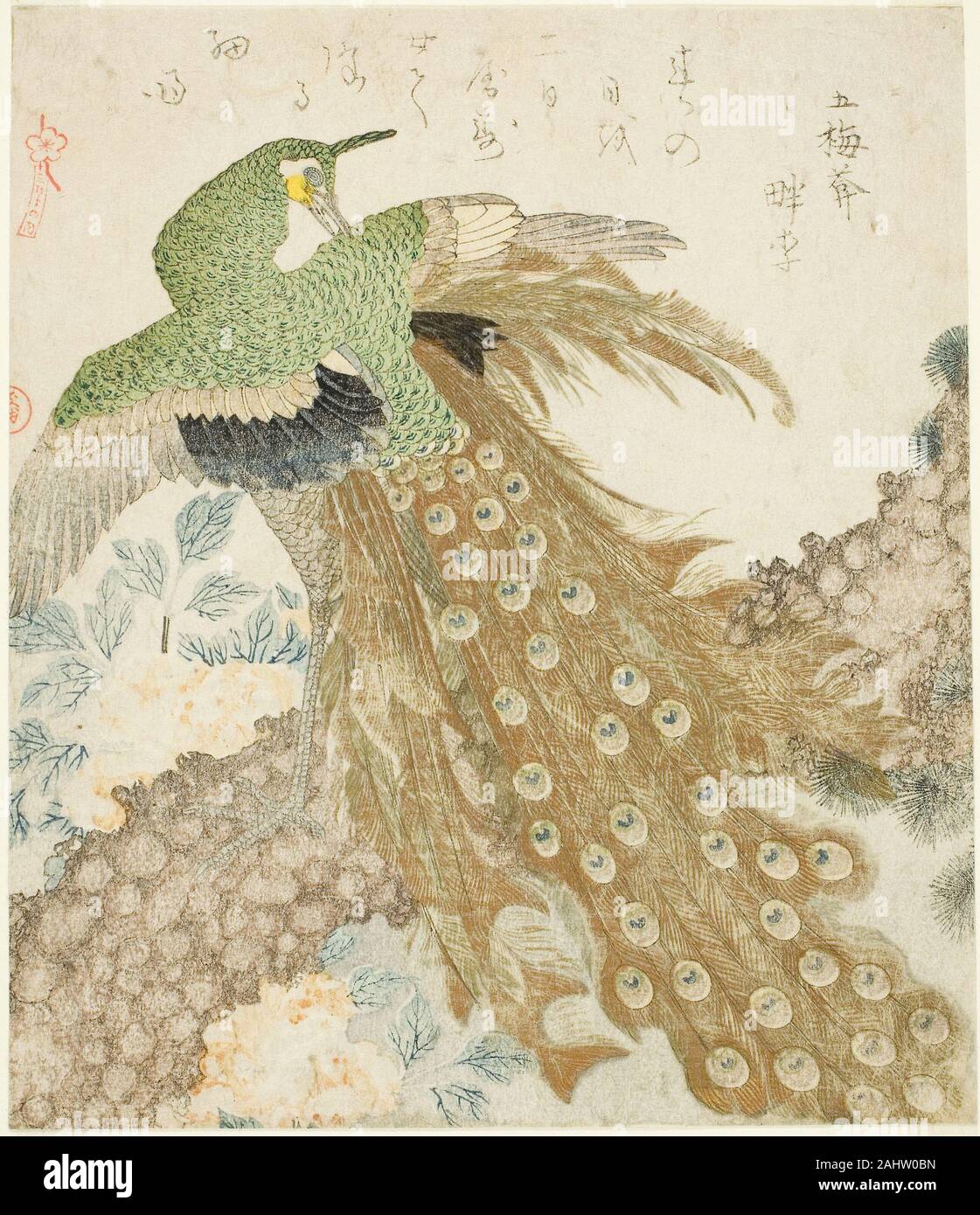 Kubo Shunman. Peacock, Pine Tree, and Peonies, from the series A Set of ...