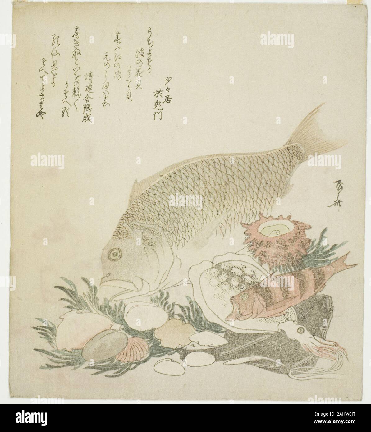 Ryuryukyo Shinsai. Fish and shells. 1821. Japan. Color woodblock print ...