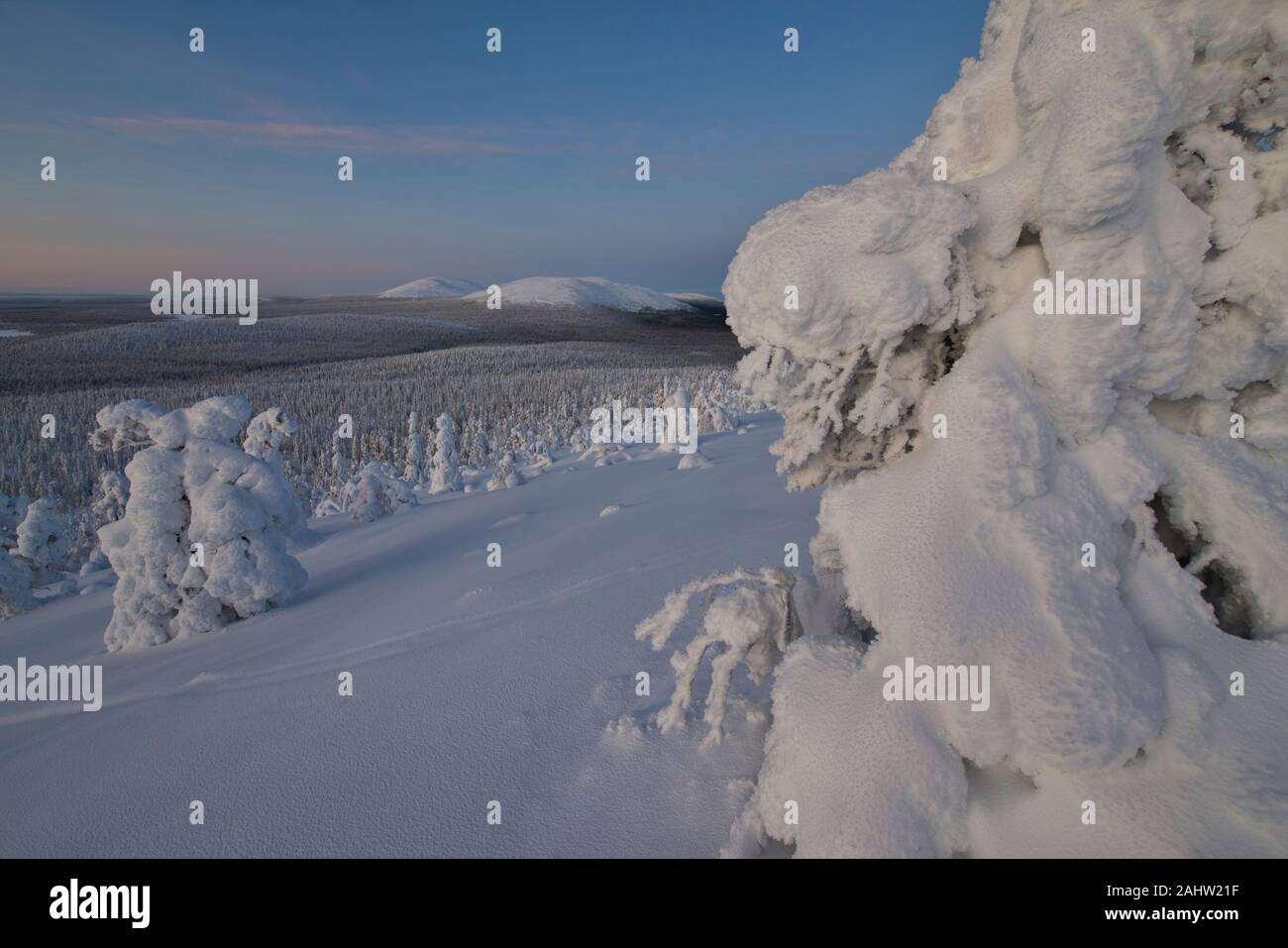 Pallastunturi fells in Pallas-Yllästunturi National Park during polar ...