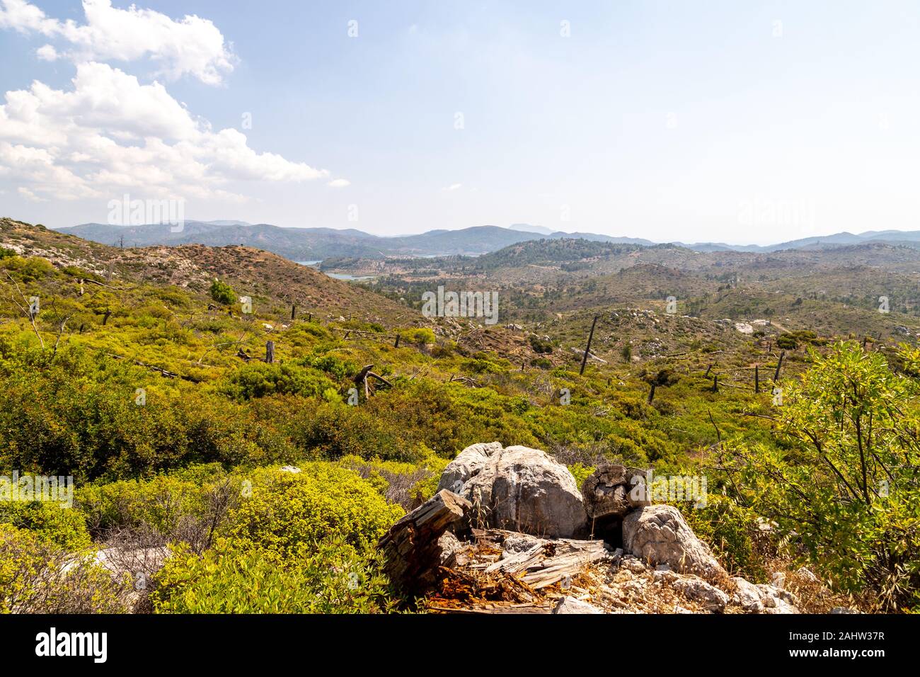 Landscape near Laerma on Greek island Rhodes 10 years after a forest ...