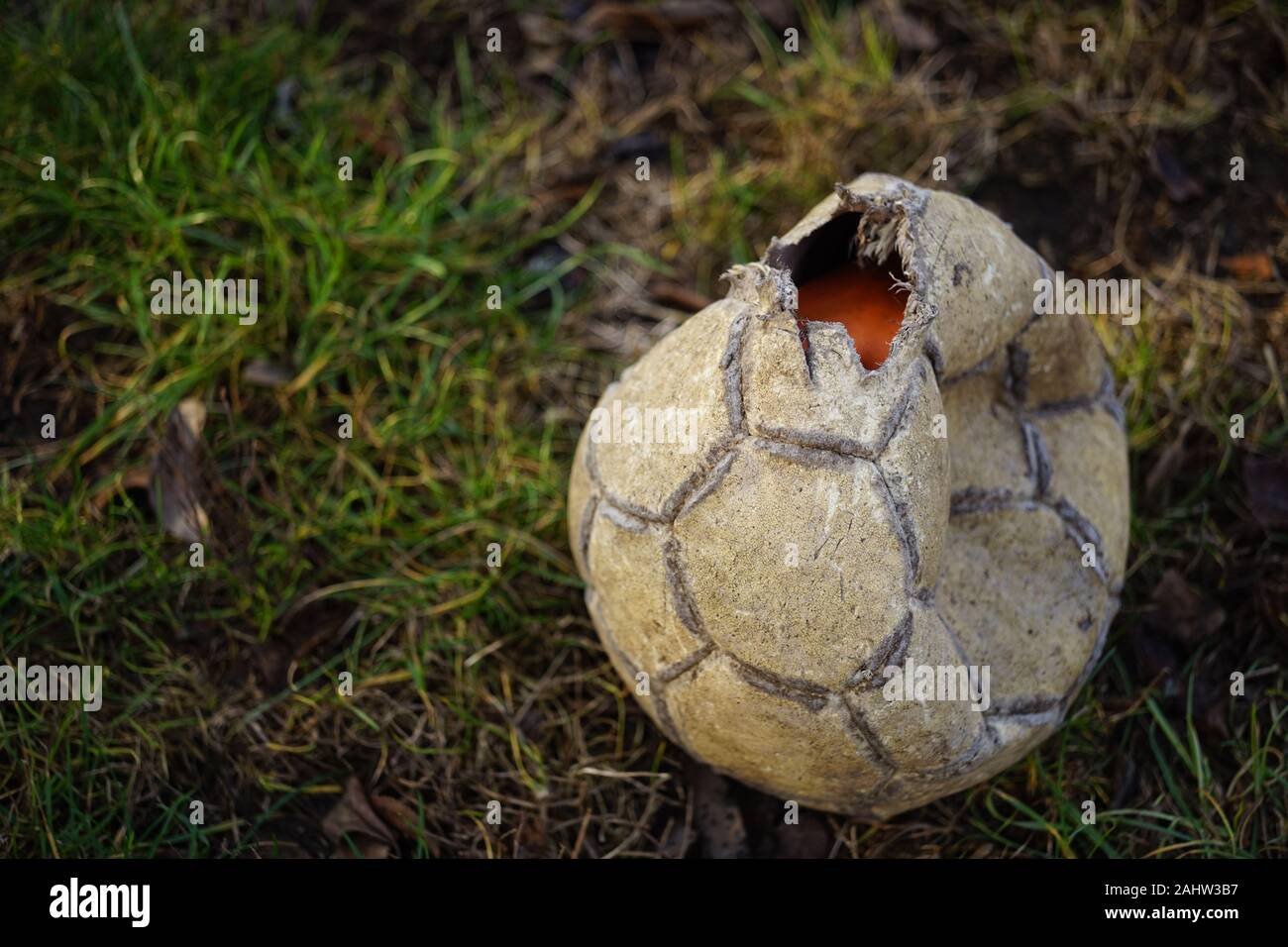 Torn soccer ball lies on the old green grass Stock Photo - Alamy
