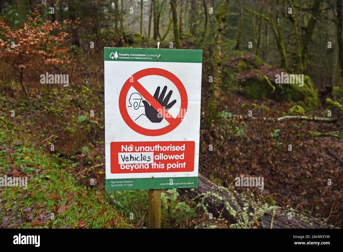 Forestry commission sign in Scotland indicating that no unauthorised ...