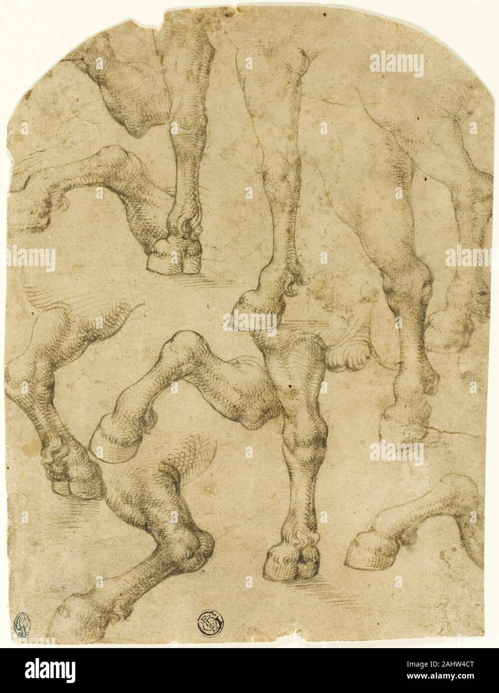 Follower of Leonardo da Vinci. Sketches of Horses' (or Dromedaries ...