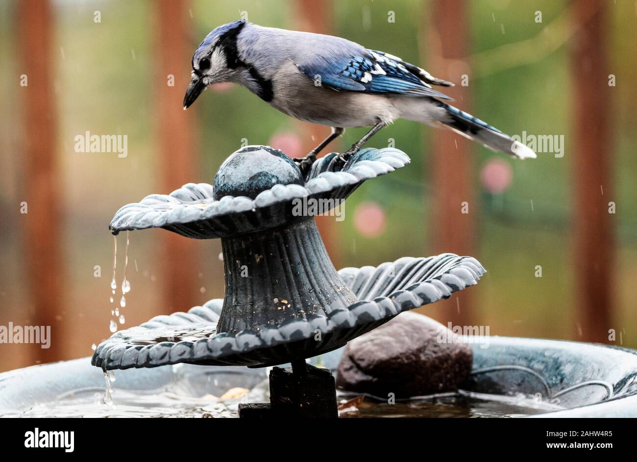 To the left Stock Photo - Alamy