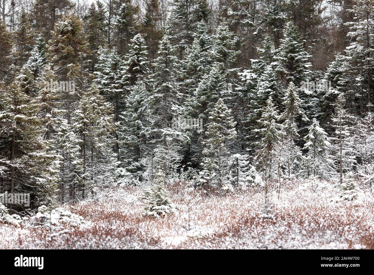 Environmentally sensitive area hi-res stock photography and images - Alamy