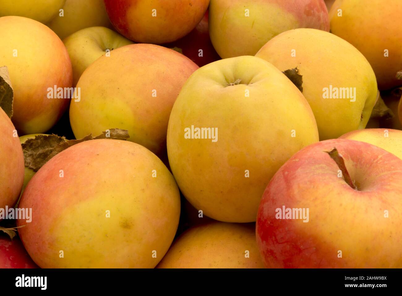 Organic farm stand hi-res stock photography and images - Alamy