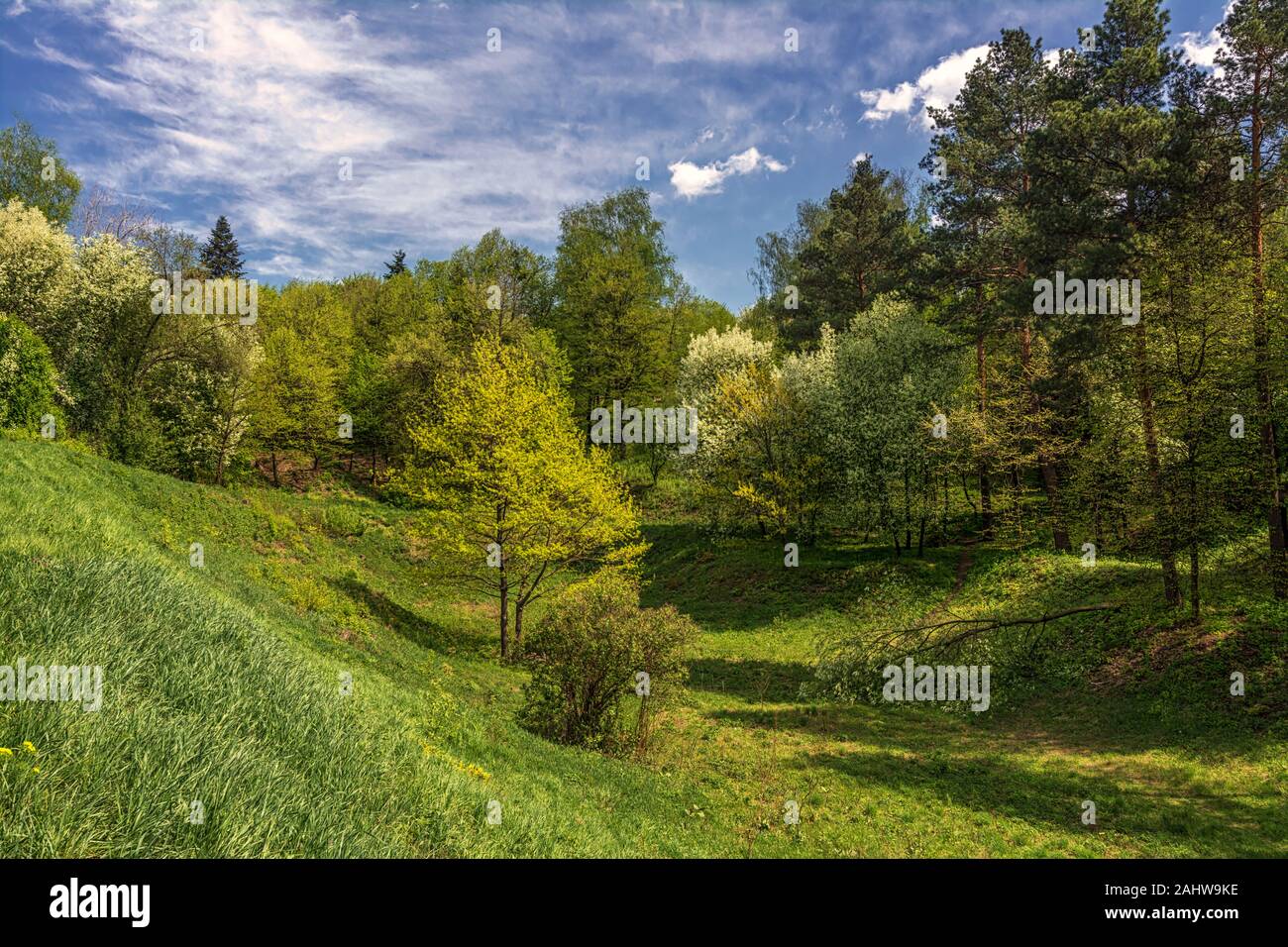 Walk in nature. Good weather for traveling outdoors. Landscape. Park ...