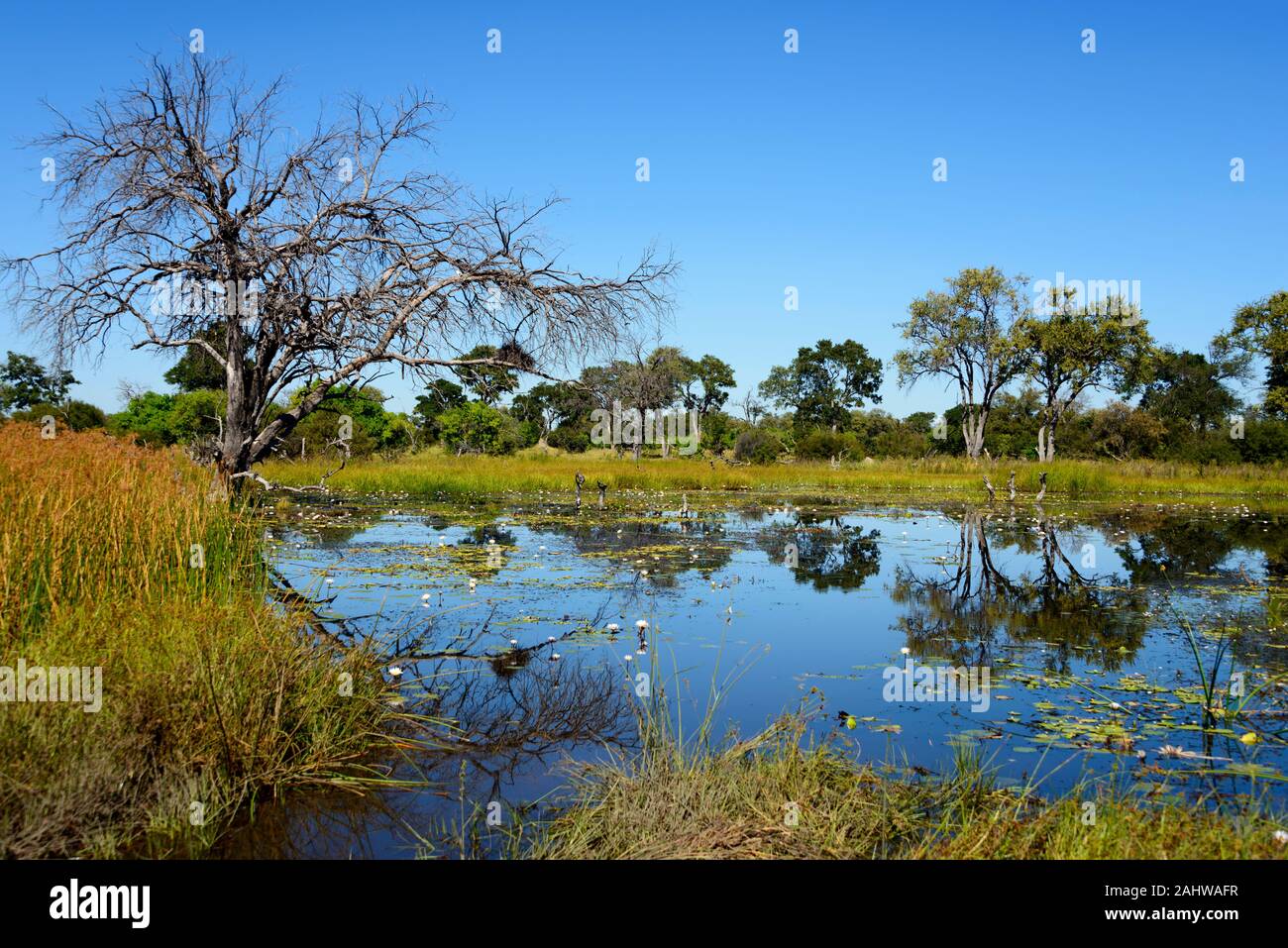 Khwai mababe village hi-res stock photography and images - Alamy