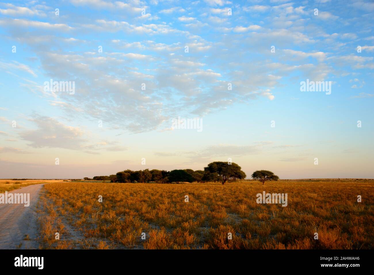 Sonnenaufgang, Deception Valley, Central Kalahari Game Reserve ...